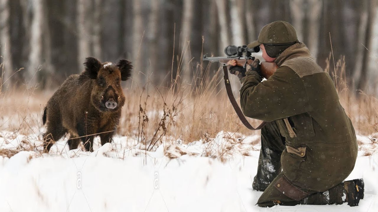 Охота на кабана — Блог Armytek.ru